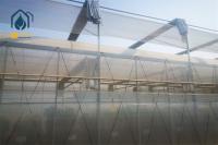 China Complete Hydroponic Multi Span Greenhouse with Nutrient Delivery and Recirculation System... for sale