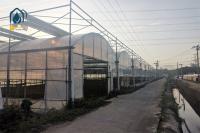 China Prefabricated Multi Span Greenhouse Kit for Quick Self-Assembly for sale
