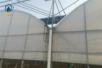 China Prefabricated Multi Span Greenhouse Kit for Quick Self-Assembly for sale