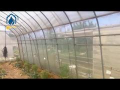 Hot Dip Galvanized Pipe High Tunnel Gewächshaus angepasste Landwirtschaft Gewächshaus