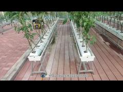 수직 심기 PVC 기판 성장 하천 수식 지 Pepper 토마토 식물 트로프