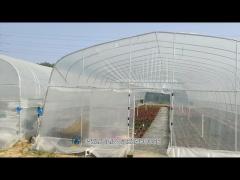 Landwirtschaftlicher Kunststoff Polytunnel Gewächshaus Einzelspann für Gemüse Früchte Blumen