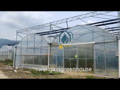 Hochleistungslandwirtschaft Polycarbonat Gewächshaus Obst und Gemüse Gewächshaus