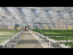 NFT-Hydroponisches Salat-Hydroponisches System mit PVC-Rohr-Hydroponischer Einrichtung
