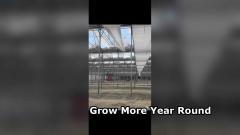 Custom Polycarbonate Greenhouses For Organic Farming