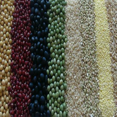 China organic gluten free corn noodle low fat for sale