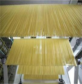 China organic HACCP/ISO certified jasmine white rice spaghetti/linguine for sale