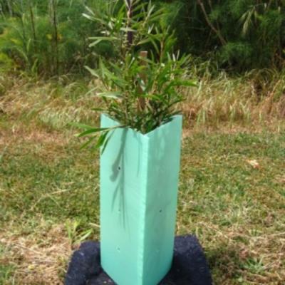 Cina Guardia Vine Protector dell'albero di Corflute ondulata triangolo quadrato in vendita