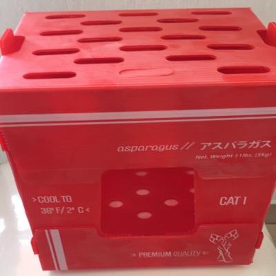 Cina Recipienti ondulati riutilizzabili neri di Coroplast di volume d'affari del polipropilene delle scatole di plastica in vendita