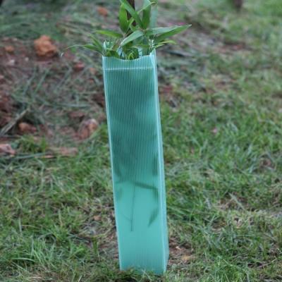 Cina Corflute ha ondulato duro le guardie di plastica di plastica dell'albero dell'involucro 2mm dell'albero in vendita