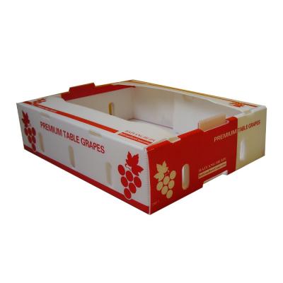 Cina Il mango su misura di Corflute ha ondulato la conservazione di freschezza della scatola in vendita