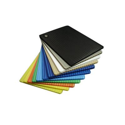 Cina Il ODM ha ondulato lo strato di plastica Eco degli strati 4x8 10mm Coroplast amichevole in vendita