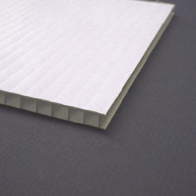 Cina Bordo vuoto della parete della chiara plastica trasparente gemellata di Coroplast 4x8 Coroplast in vendita