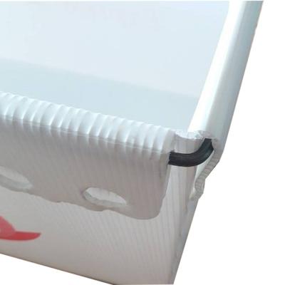 Cina Totalizzatore di plastica ondulato impermeabile 4mm della posta 5mm Coroplast in vendita