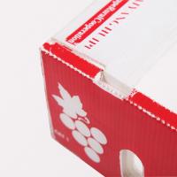China Moisture Proof Vegetable Packaging Box Plastic Corrugated Foldable Boxes for sale