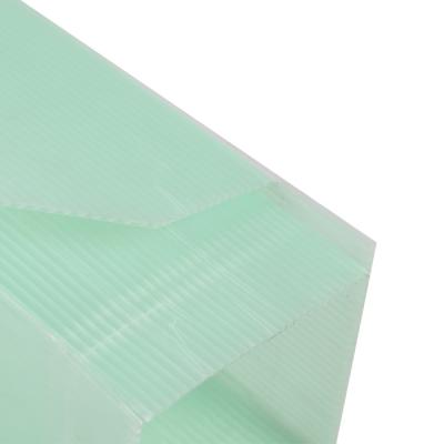 Cina Protettori di plastica verdi del tronco del polipropilene pp dell'involucro dell'albero di Corflute in vendita