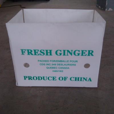 China 3mm Folding Corrugated Plastic Boxes Hollow Corrugated Polypropylene Boxes for sale