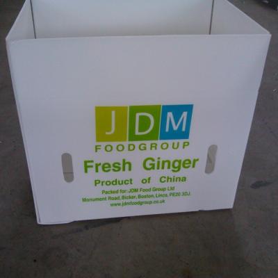 China 3mm Folding Corrugated Plastic Boxes Hollow Corrugated Polypropylene Boxes for sale