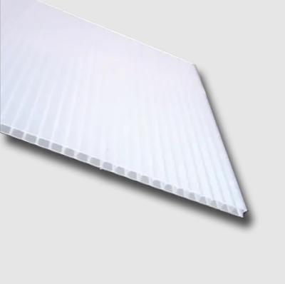 Cina bordo vuoto dello strato 5mm Coreflute del polipropilene di 4mm Coreflute in vendita