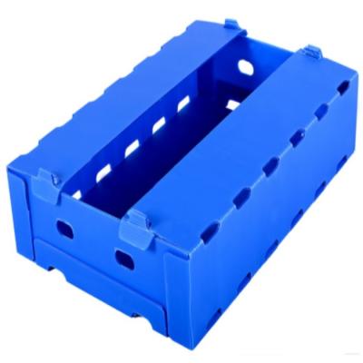 Cina Frutta blu di Coroplast Apple che imballa resistente di umidità del polipropilene della scatola in vendita