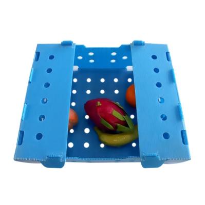 Cina Contenitori di imballaggio d'imballaggio della pesca di Coroplast di verde del contenitore di frutta del polipropilene in vendita