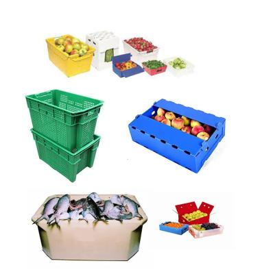 Cina Contenitori di imballaggio d'imballaggio della pesca di Coroplast di verde del contenitore di frutta del polipropilene in vendita