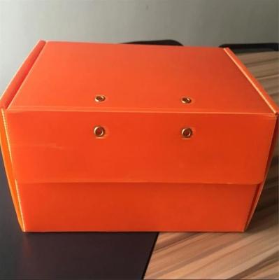 Cina Hollow Board Corflute Box Foldable Lightweight Waterproof in vendita
