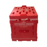 China Custom Size Coloured Coroplast Storage Boxes Recyclable for sale