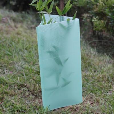 Cina 3mm Green Plastic Corflute Tree Guards UV Protector Waterproof in vendita