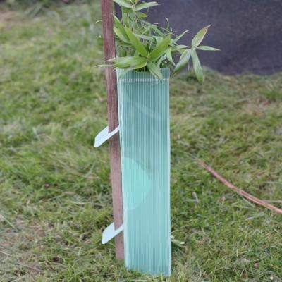 Cina 3mm Green Plastic Corflute Tree Guards UV Protector Waterproof in vendita