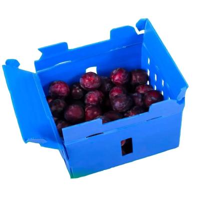 Cina Il polipropilene ha ondulato il contenitore di imballaggio leggero rigido d'imballaggio di verdure di plastica di immagazzinamento nella scatola in vendita