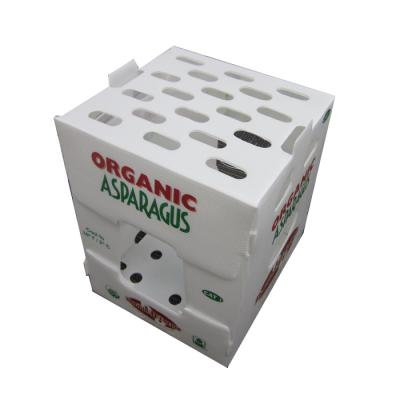 Cina Scatola di plastica corrugata in PP resistente Scatola di imballaggio per verdure personalizzata in vendita