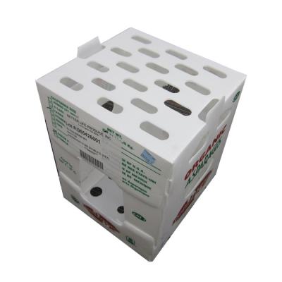Cina Scatola di plastica corrugata in PP resistente Scatola di imballaggio per verdure personalizzata in vendita