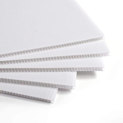 Cina Carta di plastica corrugata in PP Corflute Foldable Lightweight Customized Durable in vendita