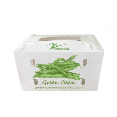 Китай Customized Polypropylene Coroplast Vegetable Box PP Corrugated Plastic Packaging Box продается