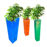China Polypropylene Corflute Tree Guard Corrugated Plastic Vine Protector for sale