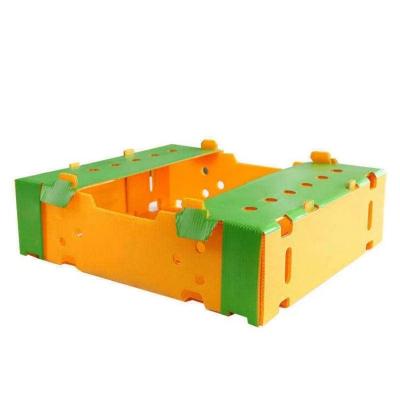 China Custom Coroplast Packing Box for Fruits & Vegetables | Lightweight, Waterproof, Durable, Recyclable, Foldable, Stackable Plastic Crate | Custom Size Available for sale