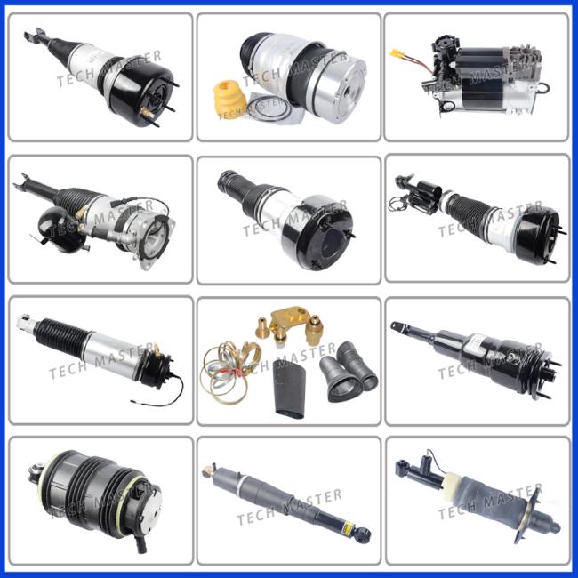 Ammortizzatore destro e sinistro posteriore della sospensione dell'aria per F02 la sospensione dell'aria 37126791676 dell'OEM 37126791675