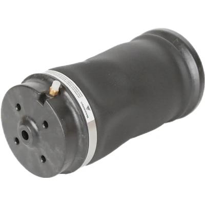 Cina Palloni a sospensione anteriore 1643200625 W164 ML350 ML500 in vendita