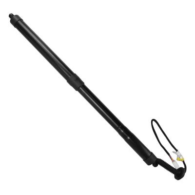 Cina 2017-2019 RH posizione Power Lift Gate 6891079017 6891079018 Per Lexus NX200 NX300 in vendita