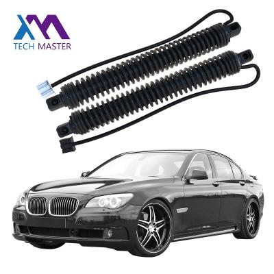 China Auto Gas Spring Rear For BMW 7X0LI F02 Trunk Lift Support 51247185713 51247185714 for sale