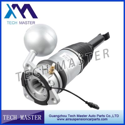 Cina Ammortizzatore dell'aria con alta qualità per la parte posteriore continentale 3D0616002J di VW Phaeton Benty in vendita