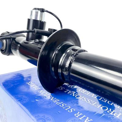 Cina JL1Z18124A JL1Z18124C Shock della sospensione aerea per Lincoln Navigator 2018- Ford EXPEDITION in vendita
