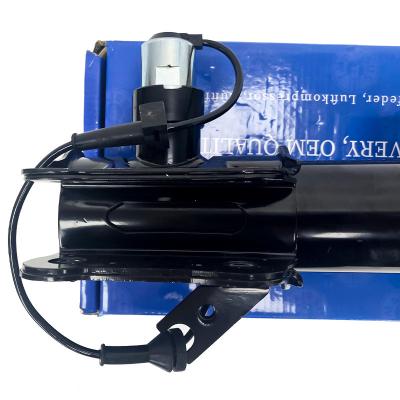 China Front Right Air Suspension Shock EG9Z18124J For Lincoln MKZ for sale