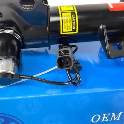 Cina Assorbente di scosse d'aria aeromatico per LINCOLN MKZ DG9Z18124V in vendita