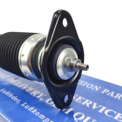 Cina Assorbitore di urti a gas posteriore sinistro destro tipo 22248832 per una guida fluida e una migliore esperienza di guida in vendita