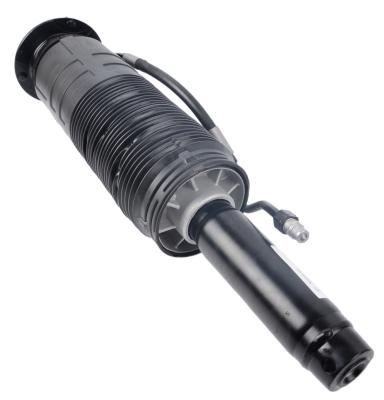 China Controle de corpo ativo Absorvedor de choque frontal hidráulico 2203208313 2203208413 Para desempenho duradouro Para W220 W215 à venda