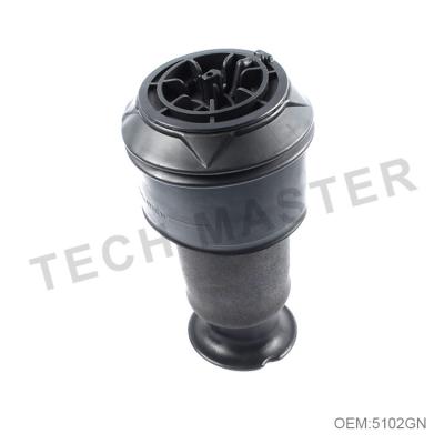 Cina Le molle di sospensione posteriori dell'aria per Citroen C4 Picasso elevano 5102GN 5102R8/le parti sospensione dell'airbag in vendita