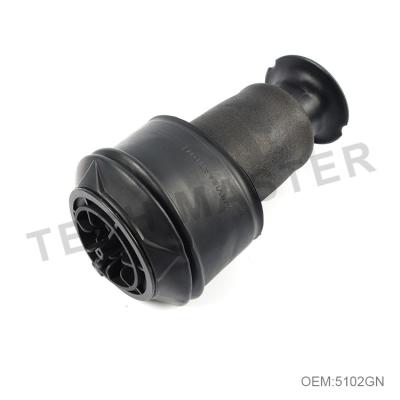 Cina Le molle di sospensione posteriori dell'aria per Citroen C4 Picasso elevano 5102GN 5102R8/le parti sospensione dell'airbag in vendita