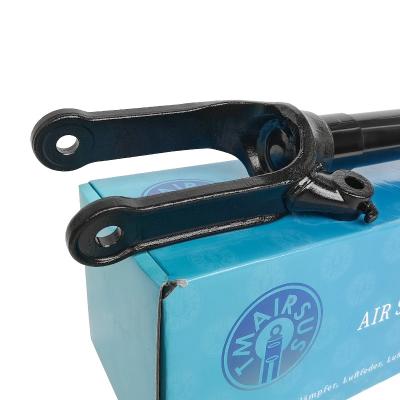 China Absorvedor de choque 2513200730 2513203013 2513201931 2513202231 Para Mercedes-Benz W251 Classe R dianteira 2006-2010 à venda